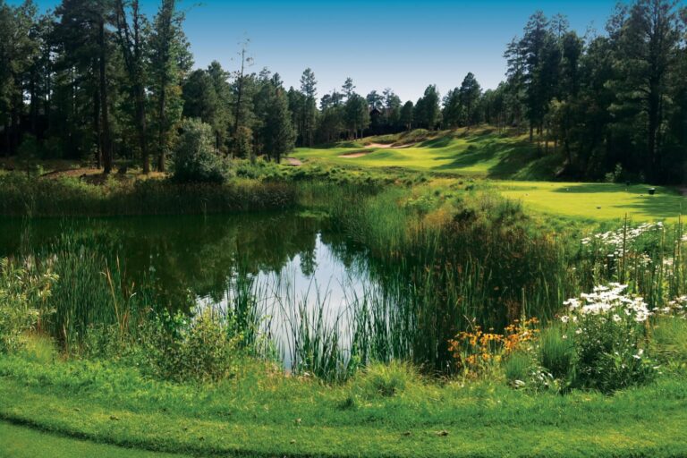 Top 15 Private Golf Clubs-Arizona 2023 - GolfDay - The Premiere Golf ...