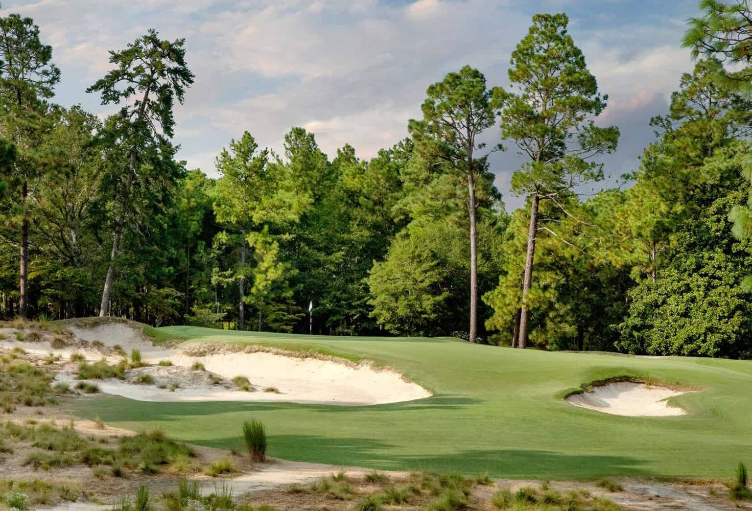 Classic Courses: Donald Ross-Top 35 Public 2024 - GolfDay - The ...