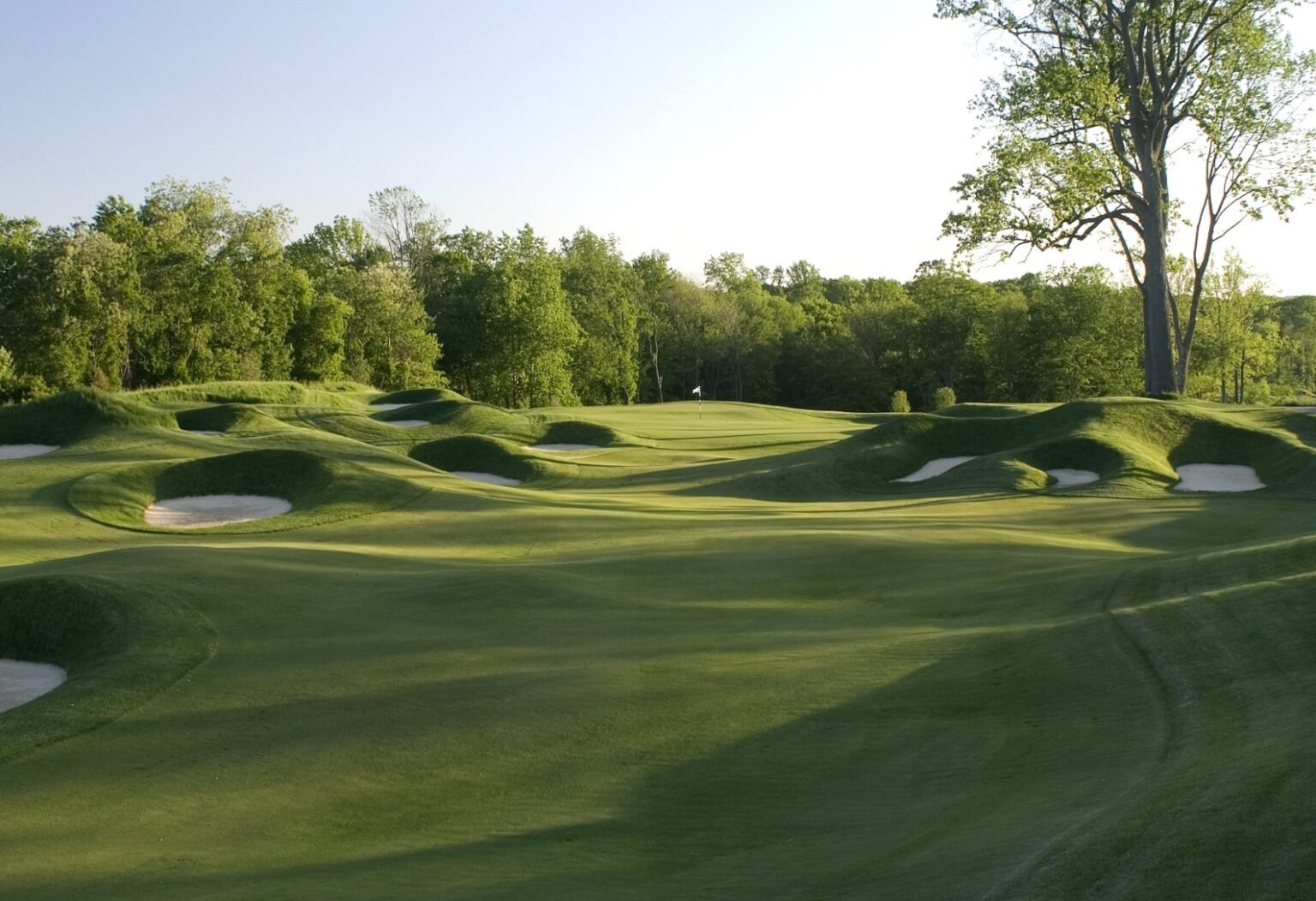 Pete Dye: Top 40 Public Courses - GolfDay - The Premiere Golf Course Guide