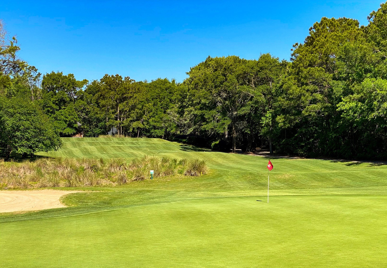 Top Golf Resorts and Public Courses: Myrtle Beach 2025 - GolfDay - The ...
